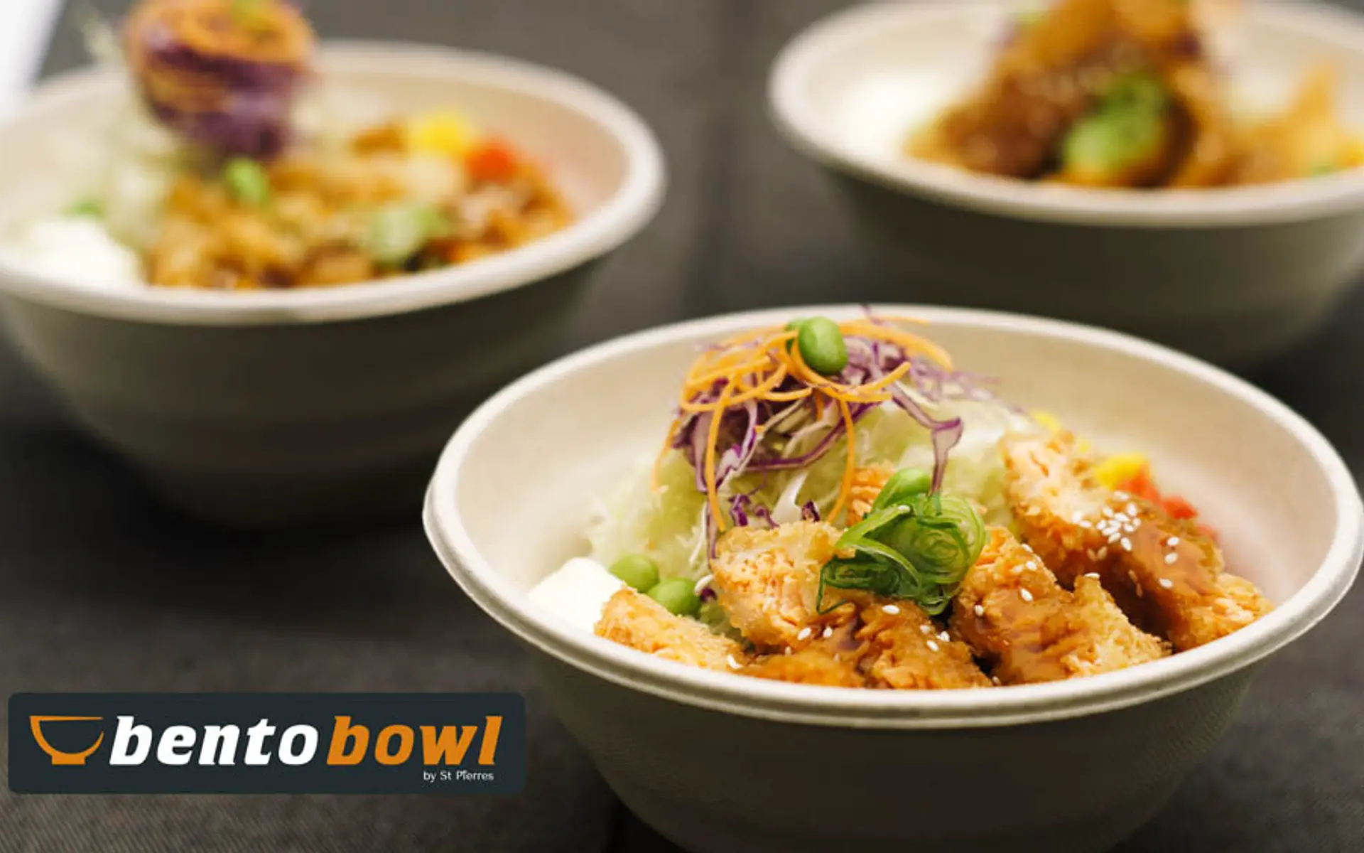 Get Bento Bowl delivered to your door with Delivereasy